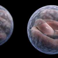 Pool Parasite Sickening Swimmers Can Live For Days, CDC Warns ...