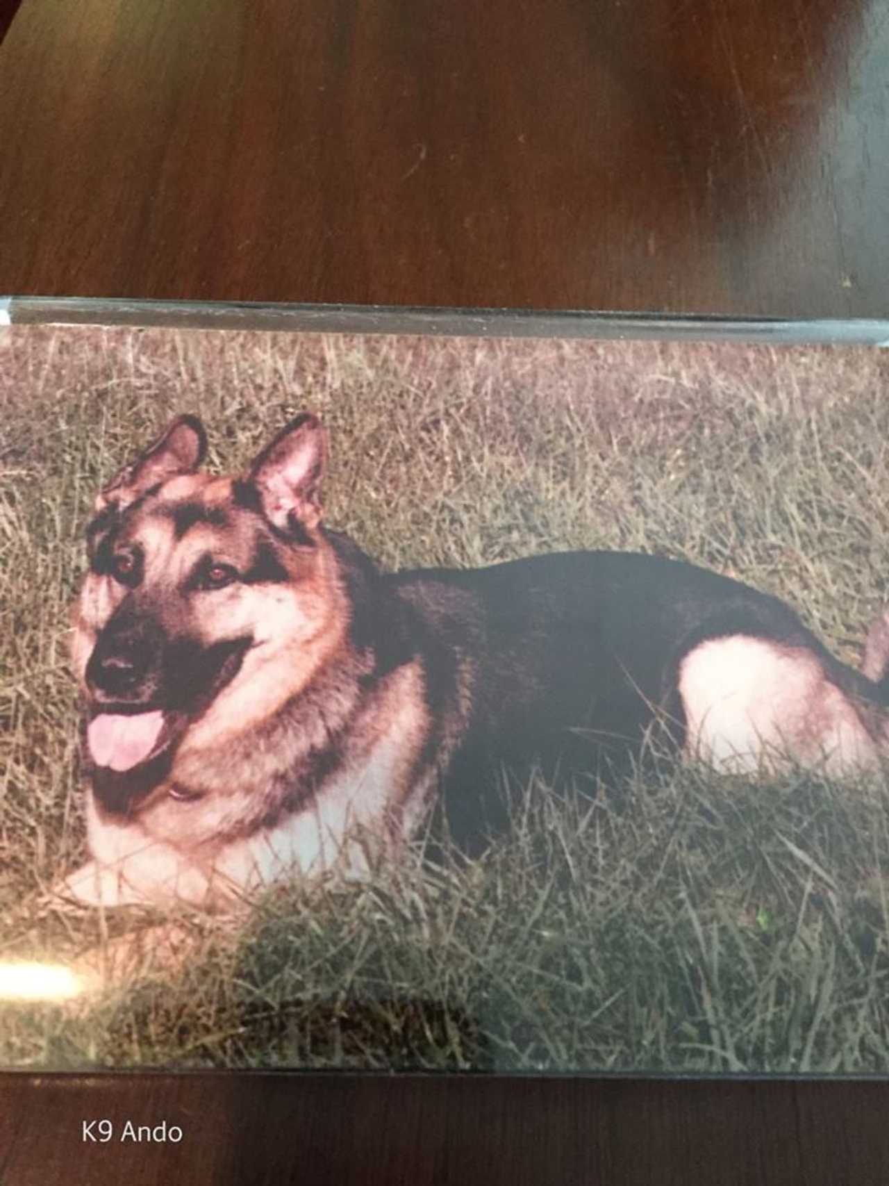 Clarkstown PD Looks Back 30 Years On Throwback Thursday | Clarkstown ...