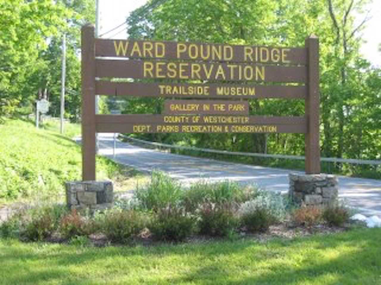 Woman Jogging With Dog Assaulted At Ward Pound Ridge, Police Say ...