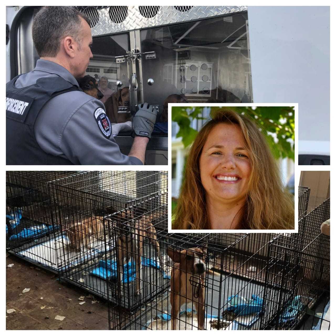 100 Animals Seized From Rescuers In Horrific Loudoun County Cruelty 100-animals-seized-from-rescuers-in-horrific-loudoun-county-cruelty