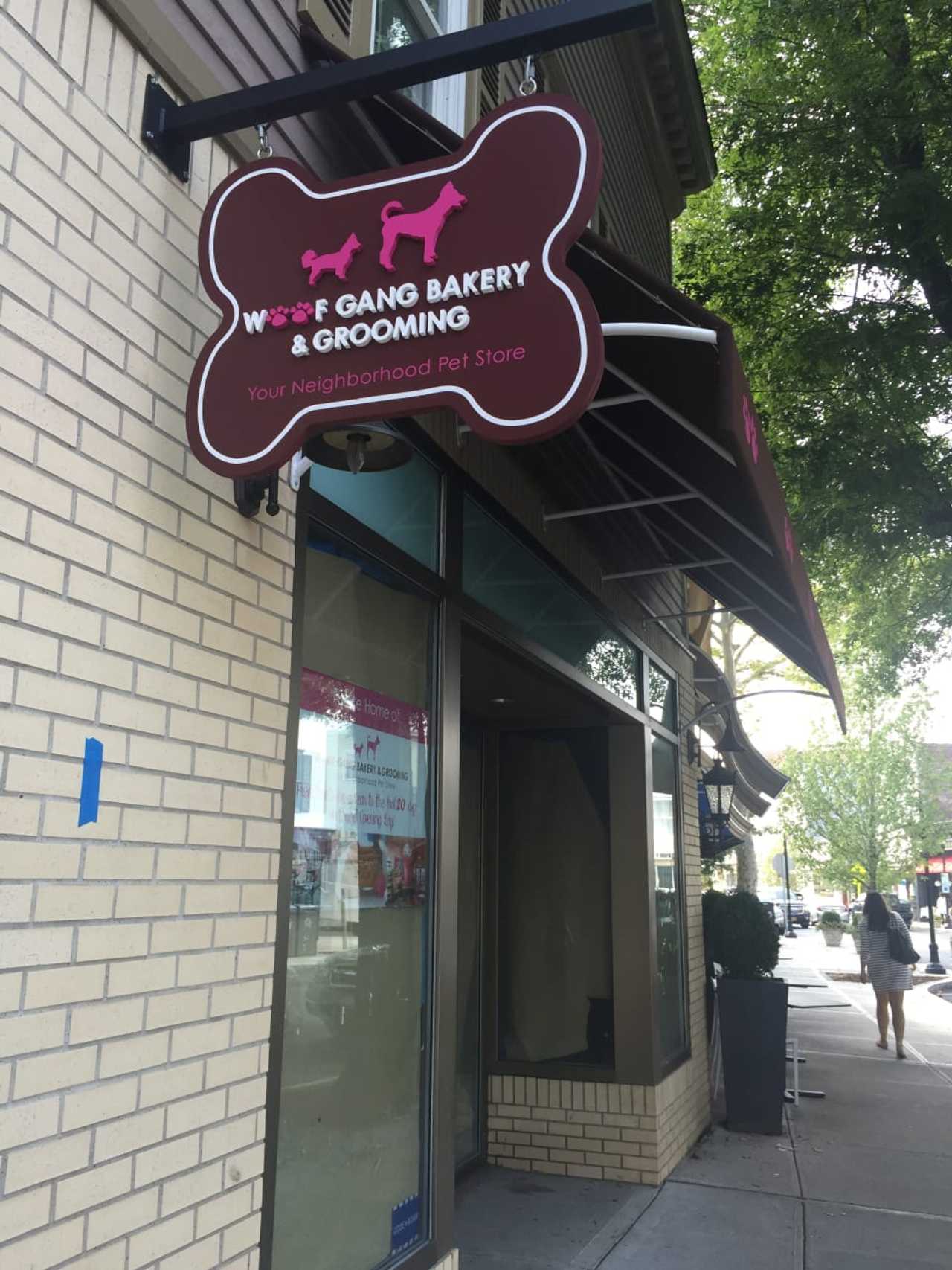 Going To The Dogs: New Pet Shop Gears Up For Fall Opening In Rye | Rye ...