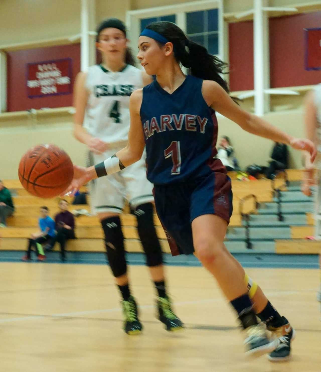 Katonah's Julia Mallon Plays In All-Star Game For Harvey, Wins Honors ...