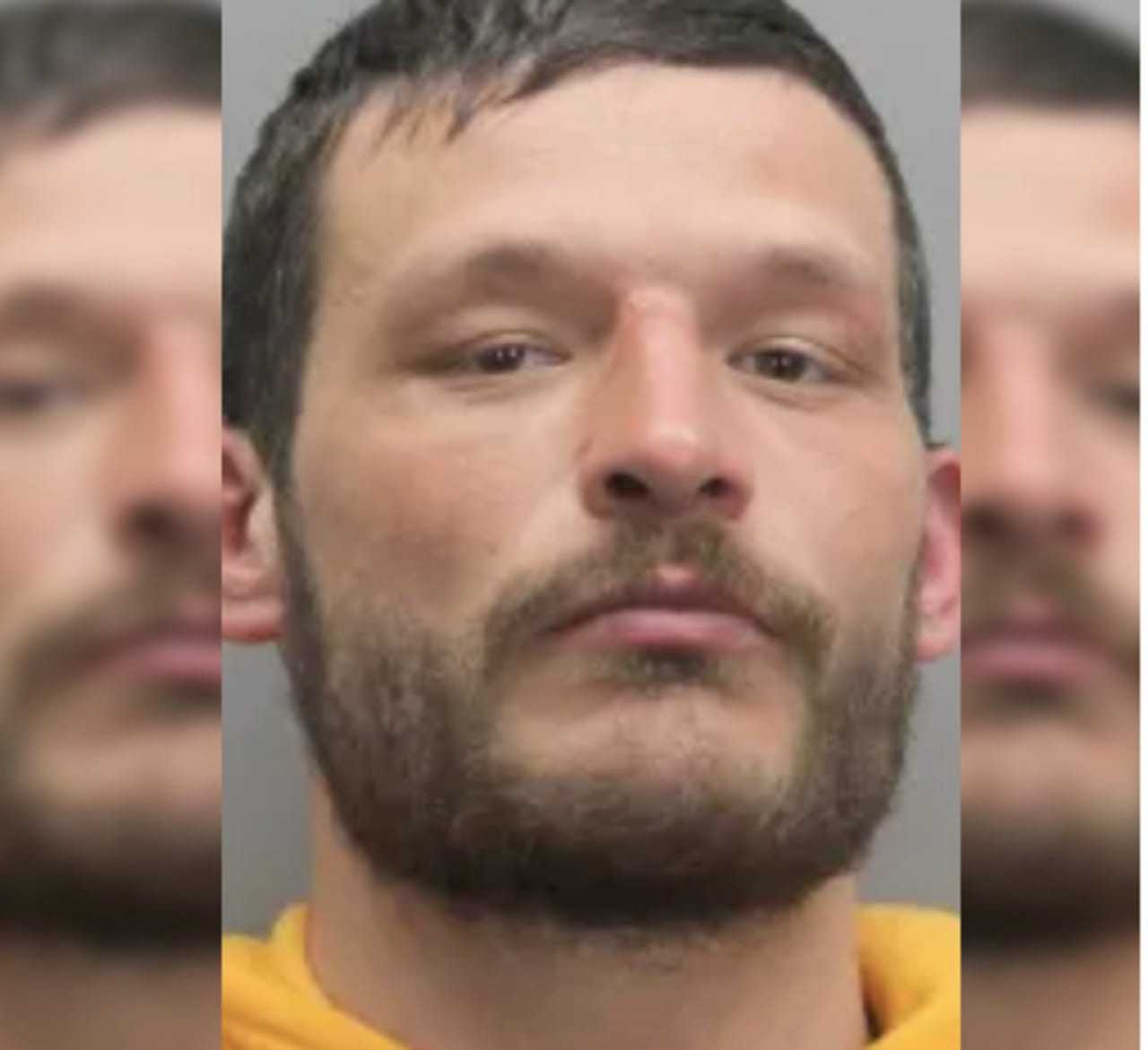 Police K-9 Catches Crook In Fairfax County: Police | Fairfax Daily ...