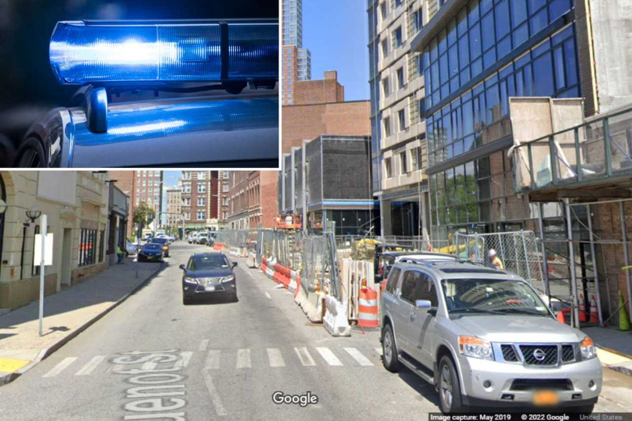 New Rochelle Duo Busted In Stolen Rental Car From FL, Police Say | New ...