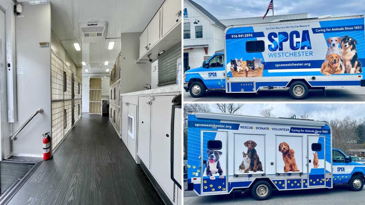 Westchester's First Mobile Adoption Unit To Debut At Chappaqua Farmer's ...