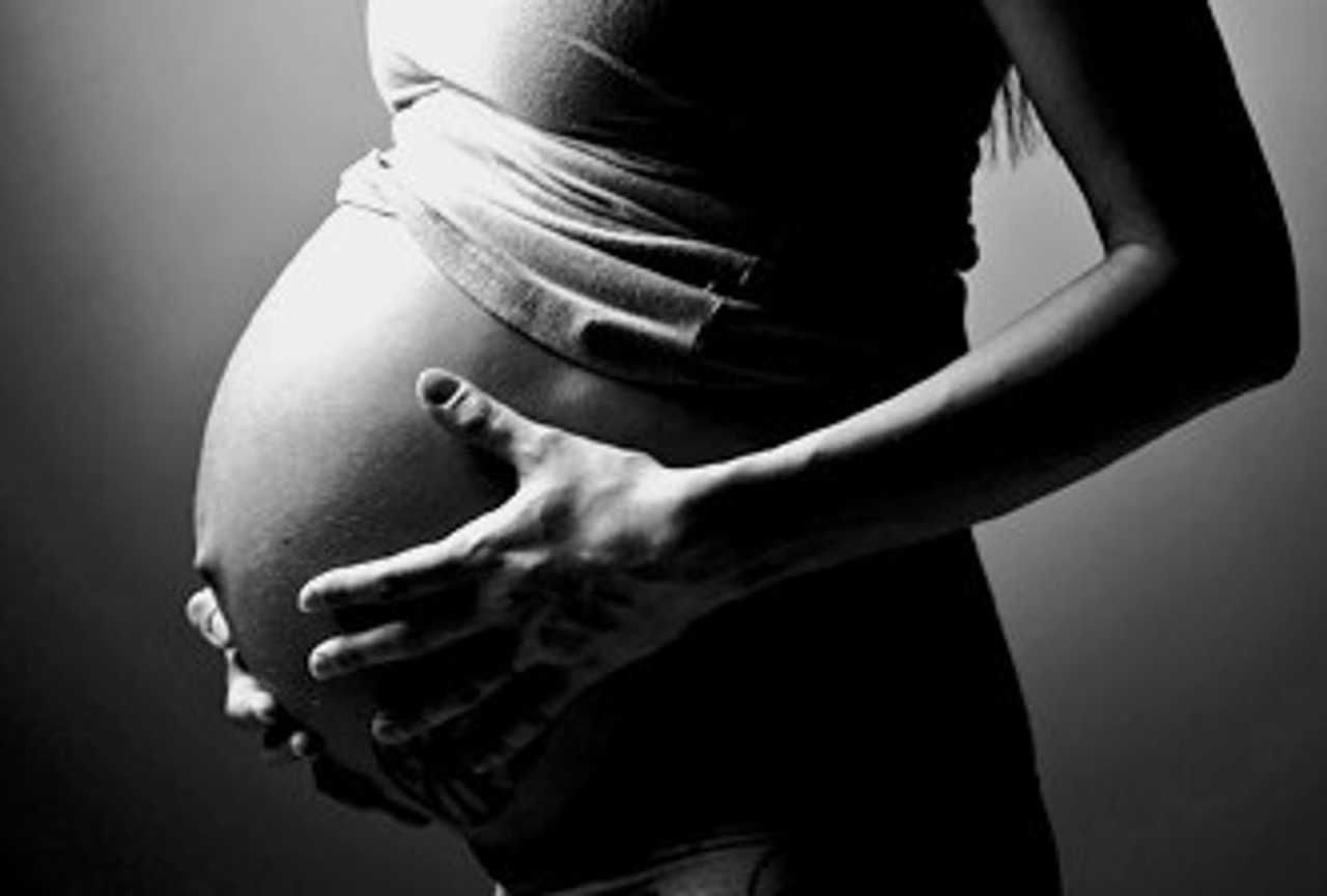 ‘Baby M’ case helps surrogate who wants custody of her brother’s twins ...