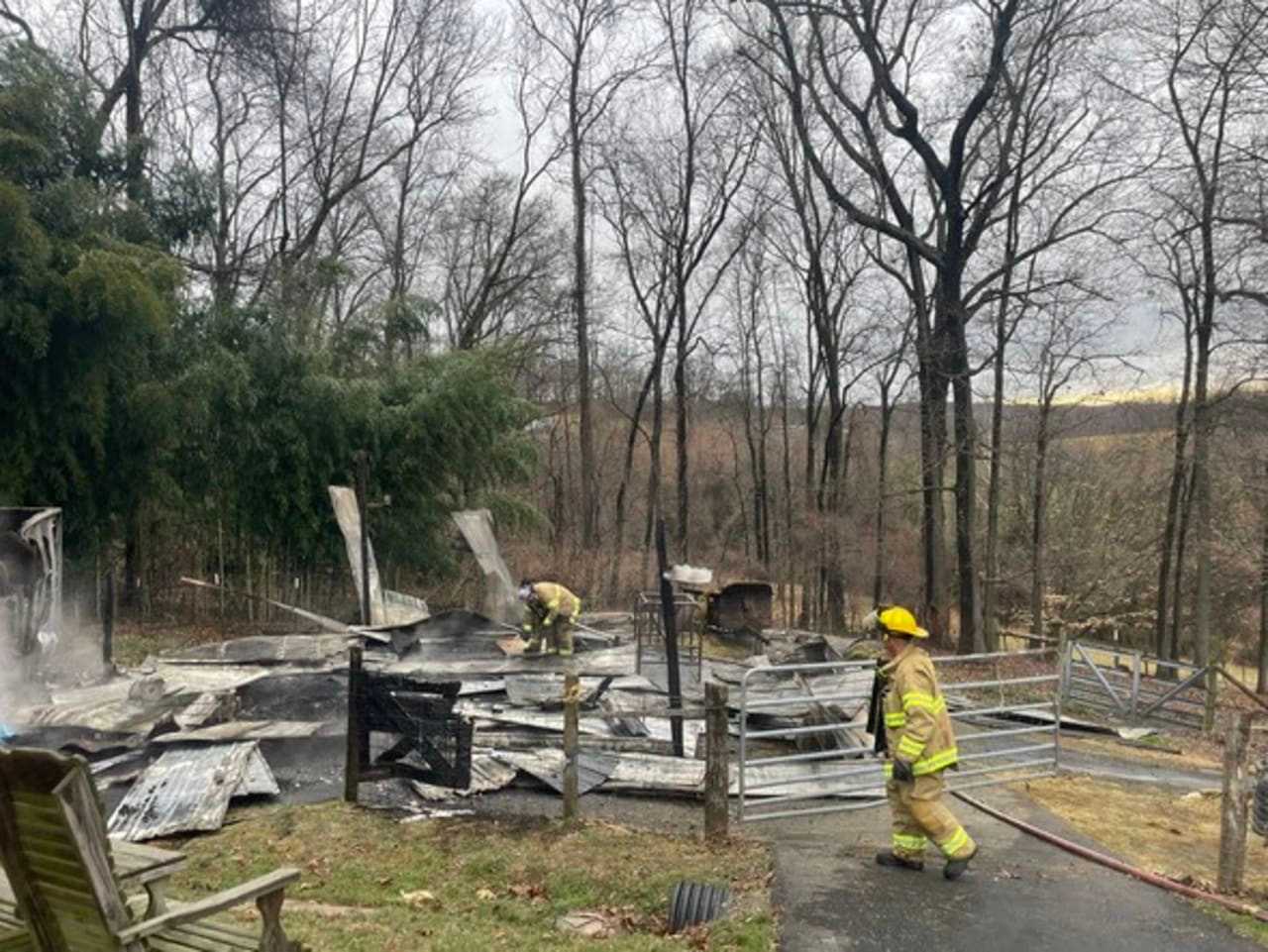 Donkeys, Goats Escape Fire Unscathed In Jarrettsville | Harford Daily Voice