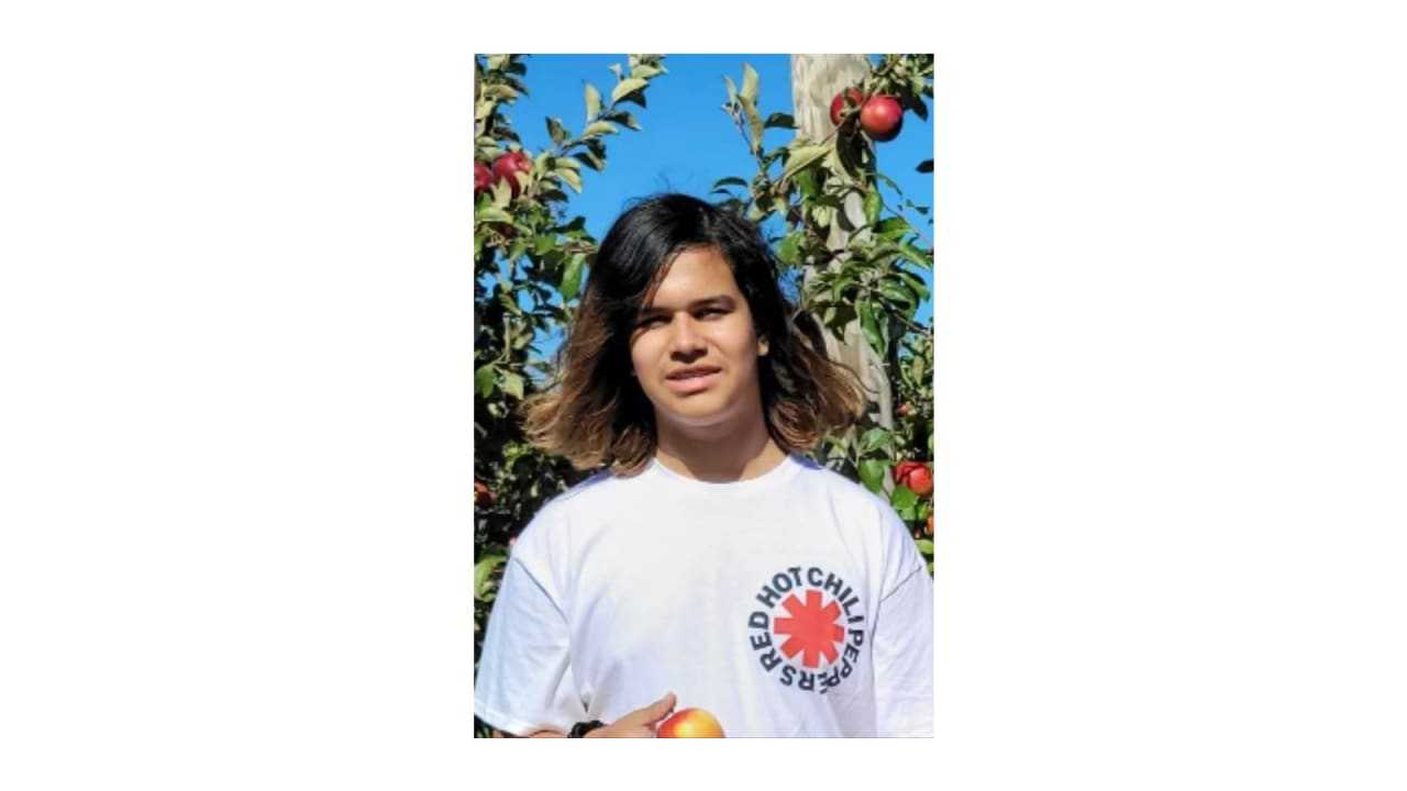 Police Seek Public's Help Locating Missing 14-Year-Old From Massapequa ...