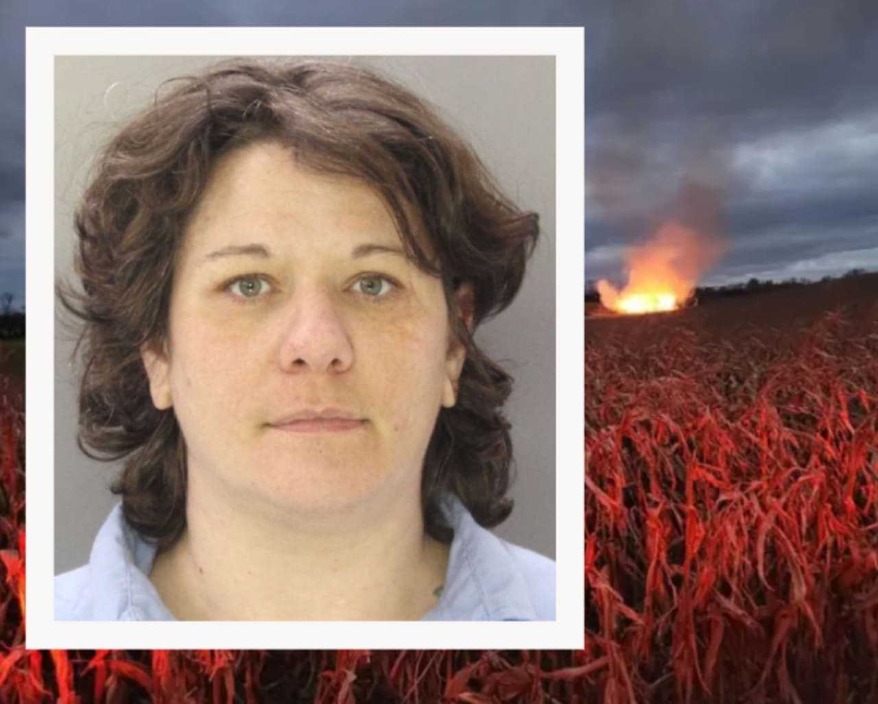 Hollywoodesque Crime Spree Lands Central PA Woman Jail Time: DA ...