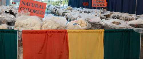 Final Day Of Sheep, Wool Festival Will Be At Dutchess County Fairground ...